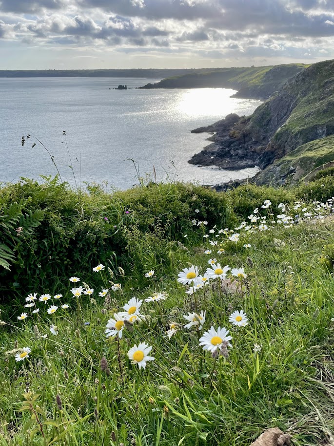 A circular walk from Coverack to Black Head | Cornish Hamlet Life