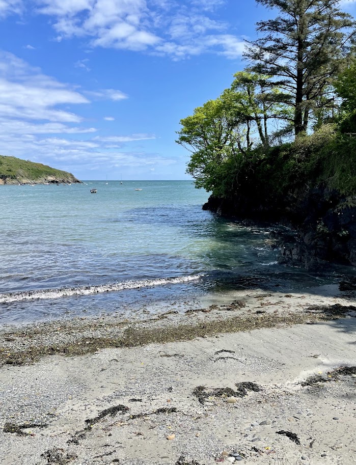 A circular walk from Porthallow to Carne, following the river estuary ...